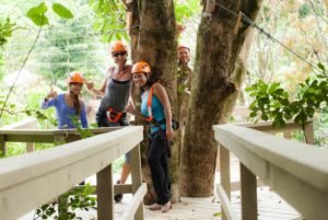 Jungle Zip Lines | Maui Sights & Treasures Maui Zipline Tickets - Maui ...